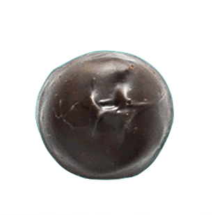 Highlander Cream | Winans Coffee & Chocolate